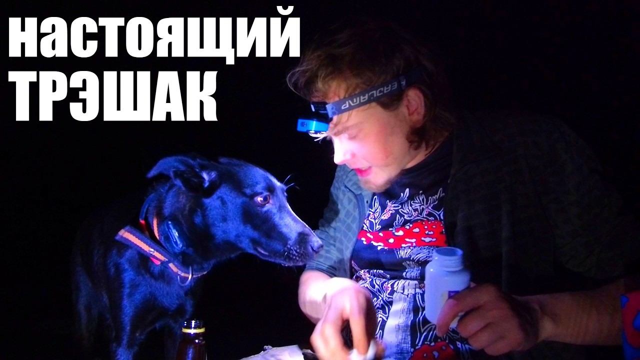 РЫБАЛКА КОТОРАЯ ВПЕЧАТЛИТ | НЛО ЭТО БЕСЫ? | КУРИНЫЕ НОЖКИ И АЛКОГОЛЬ | ШАКАЛЫ ПРОТИВ СОБАКИ МАРЫ