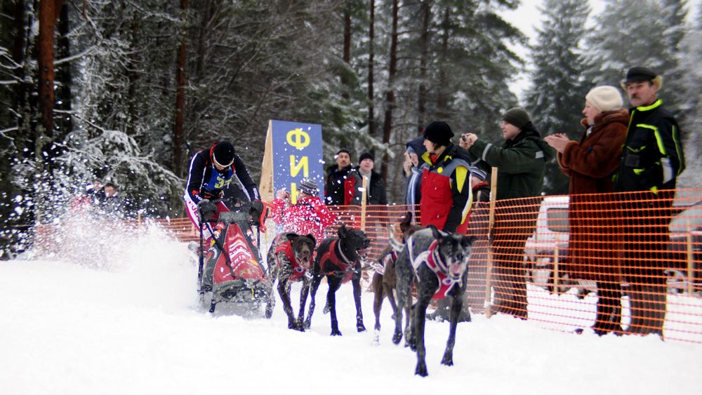 2011 год. Спринтерская гонка в Карелии.