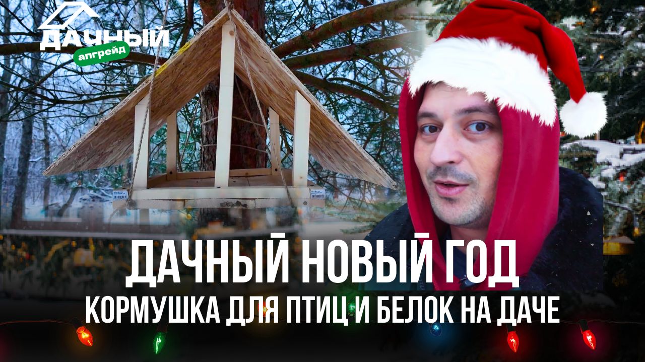 Дачный Новый год: КОРМУШКА для ПТИЦ и БЕЛОК на даче