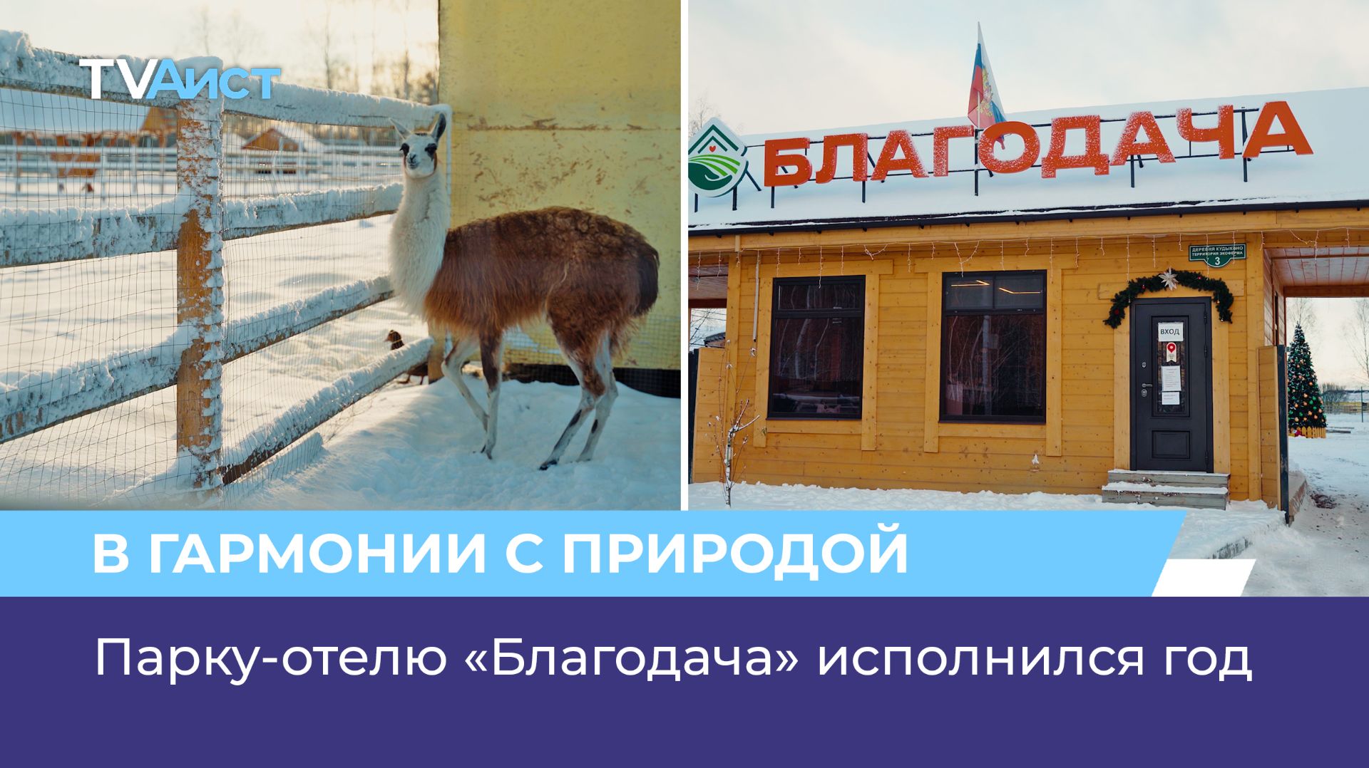 Парку-отелю «Благодача» исполнился год