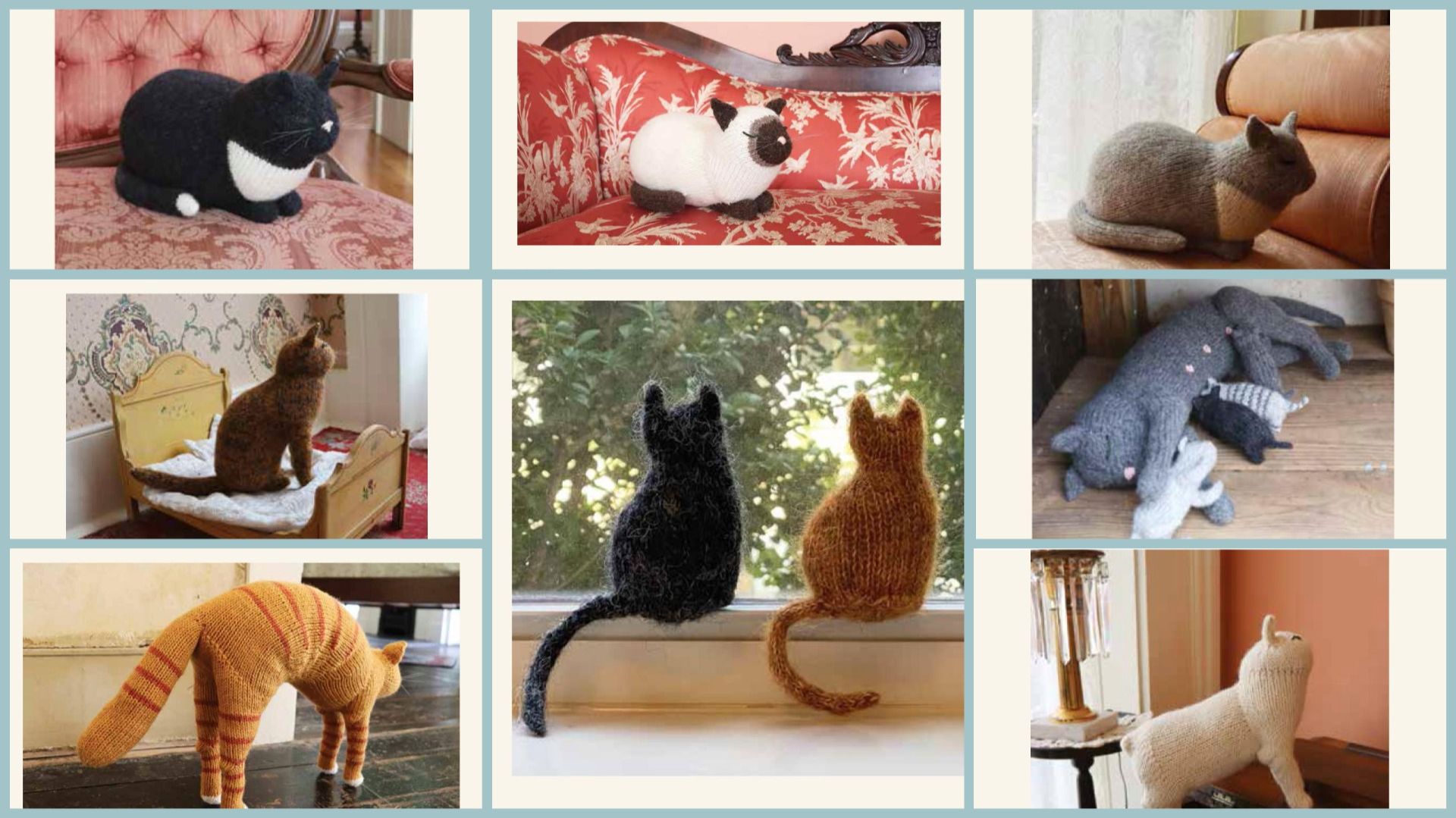 Любая кошка с описанием.