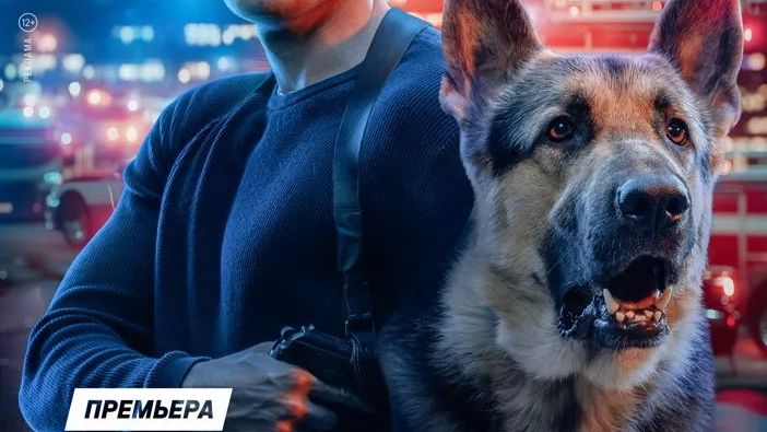 Сериал «Мухтар. Он вернулся!» Анонс и точная дата выхода