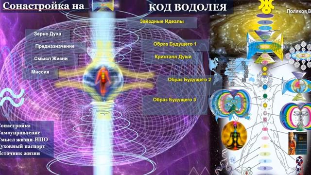 СОНАСТРОЙКА в джунглях Гоа Индии