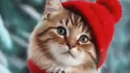 ЯНВАРЬ--КОЗЕРОГ(таро)