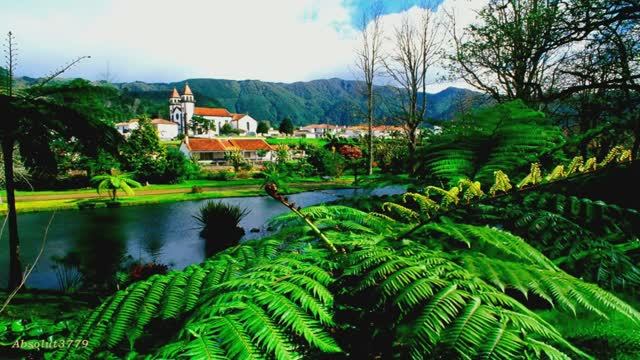 (Portugal) Greatest 200 Romantic Saxophone Love Songs - Best Relaxing Saxophone Songs Ever