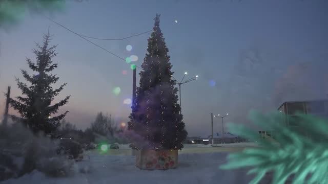 НОВОГОДНИЙ ВЫПУСК АВИСМА: ОТ 30.12.2025