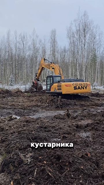 Мульчирование в торфяной местности