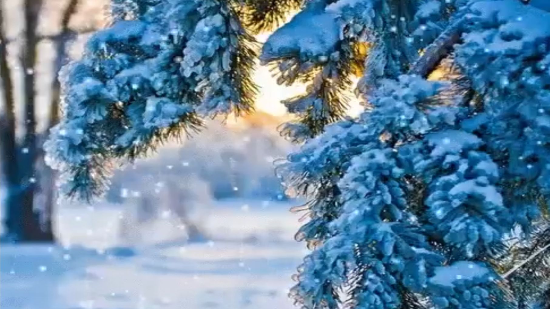 ЯНВАРЬ--РАК(таро)