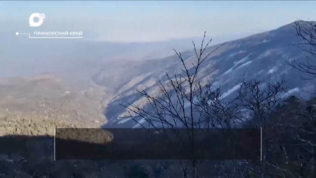 Разведка блогом / 30.12.25