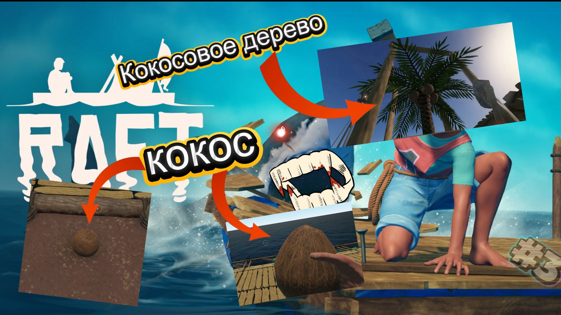 КОКОСОВОЕ ДЕРЕВО - (RAFT)#3