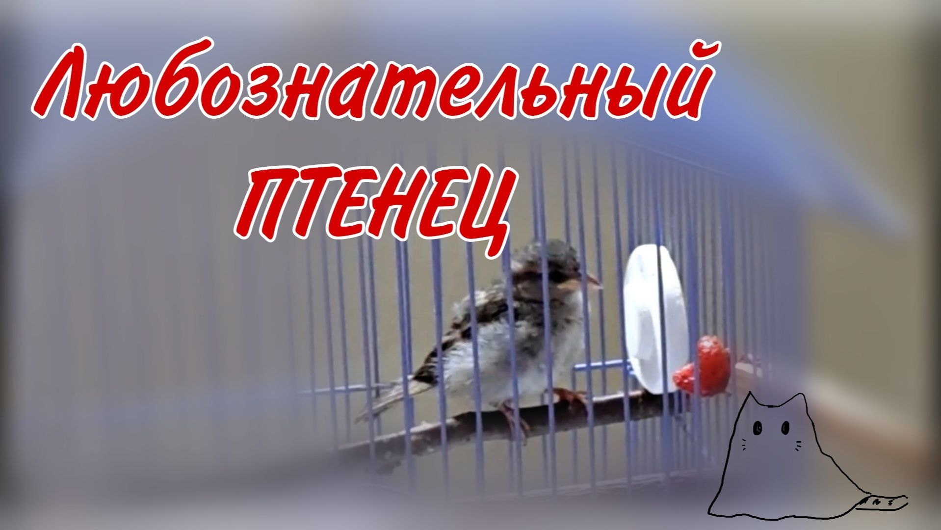 МАЛЕНЬКИЙ любознательный ВОРОБЕЙ. Птенец воробья пробует минеральный камень.