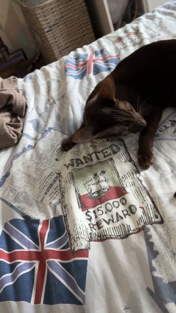 Миша и Жуля