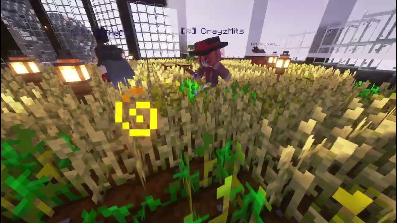Triad SMP 6 13.04.25