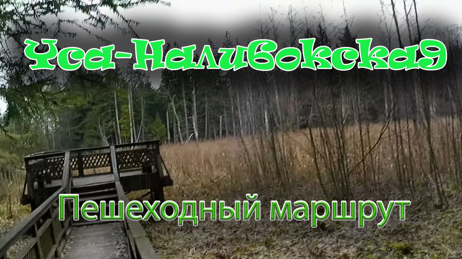 Пешеходная прогулка вдоль реки Уса-Налибокская