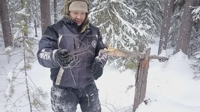 В Тайгу на Буранах с собаками.