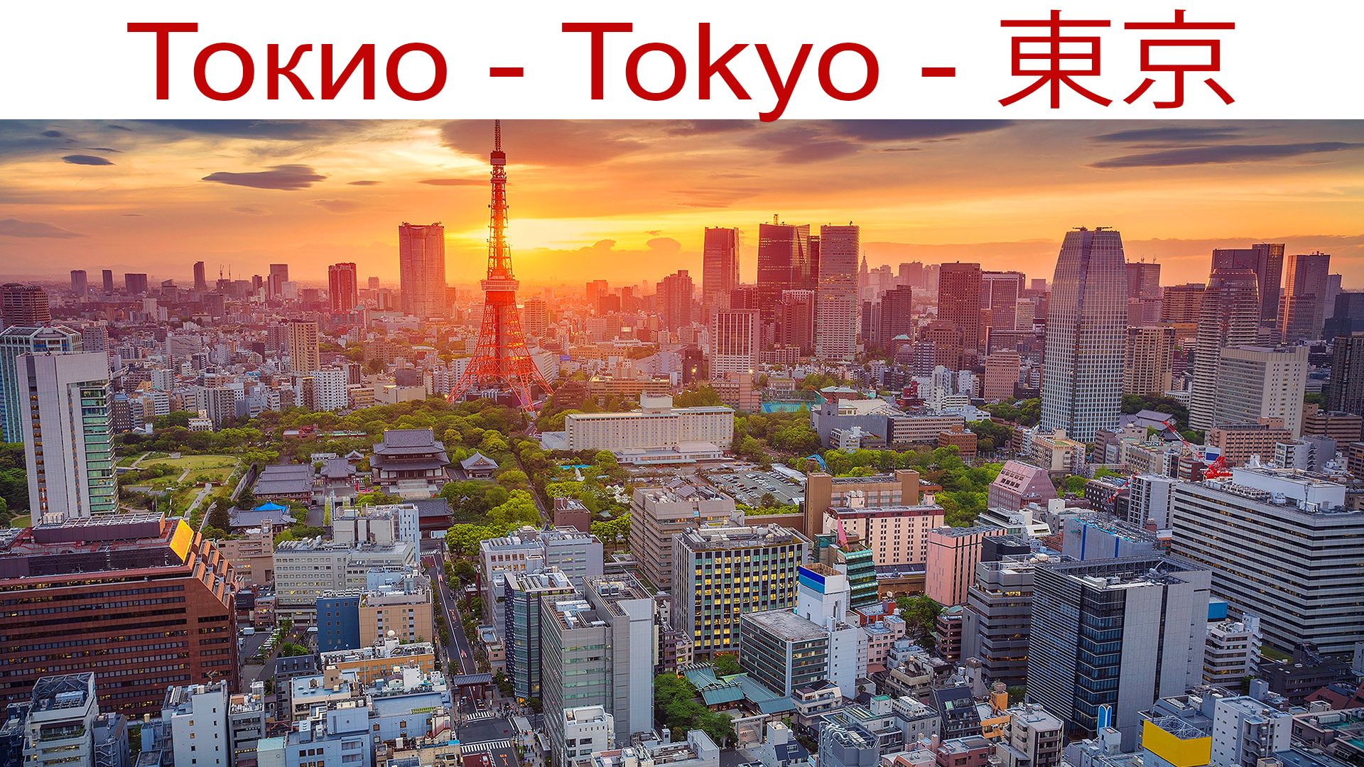 Водная прогулка по реке Сумида, Токио, Япония - чуть головы нам не снесло!