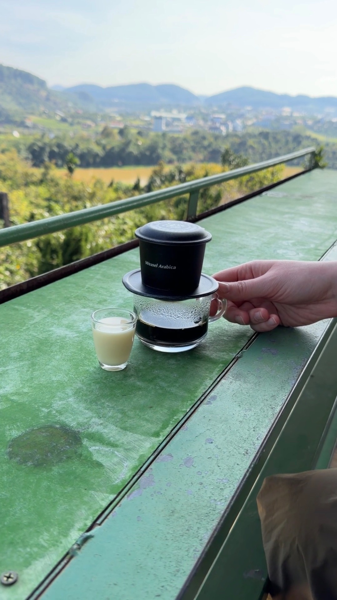 8.3. Кофе из пищеварительной системы. Реалити "Аня и Вьетнам"