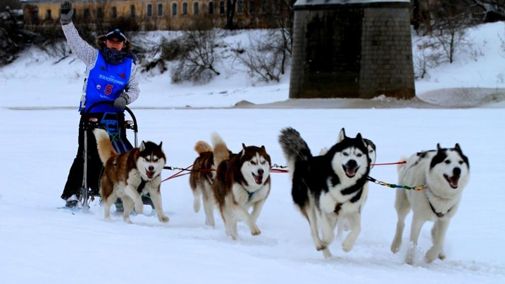 2011 год. Гонка "Землепроходцы"