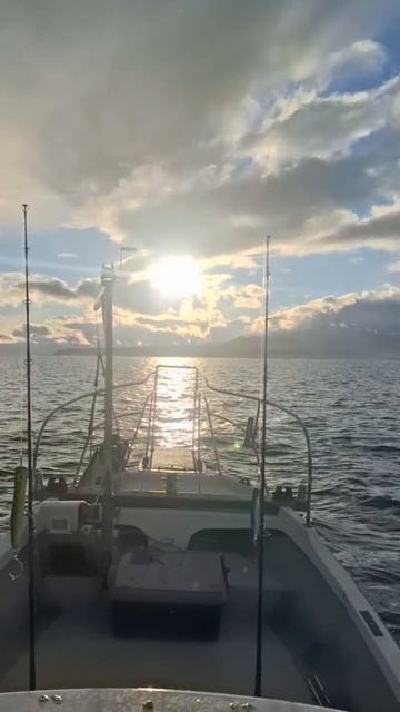 В погоне за тунцом на Тихом океане