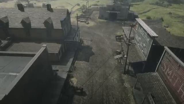 Can You Conduct A Census In Red Dead Redemption 2 - Any Austin