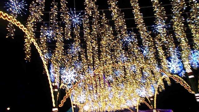 DSCN8515Новогодний  Ставрополь декабрь2025