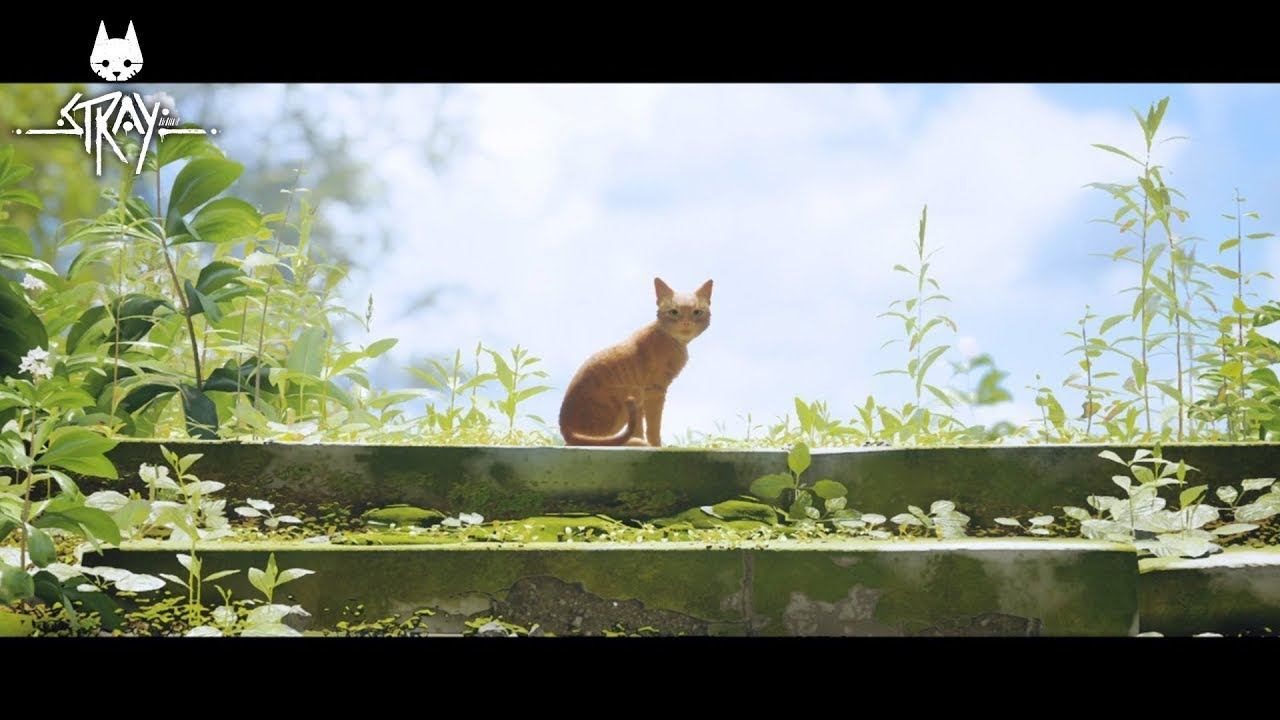 Stray Прохождение Игры На русском Симулятор Кота - Конец 8#