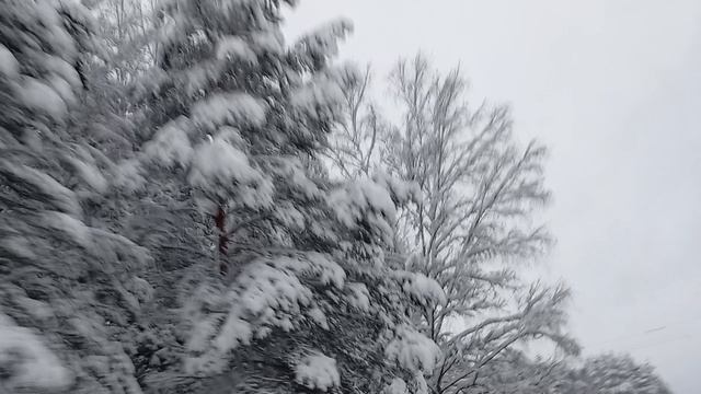 Дорога в Пржевальское