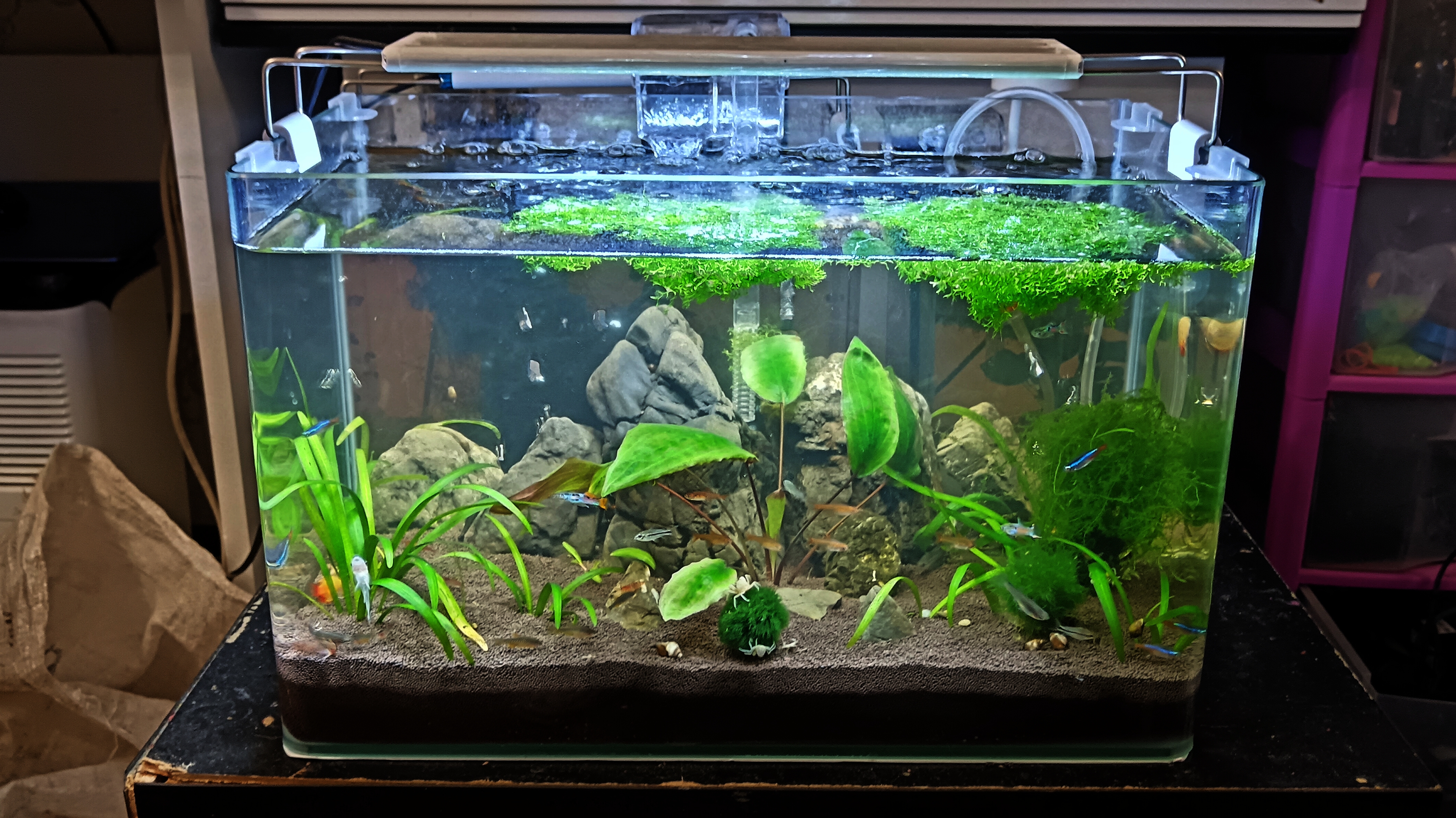 Подарок Павла и Олеси для дочери Софии