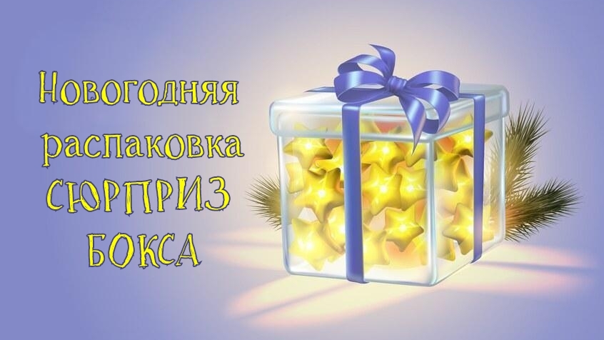 66/2025 УСТРОИЛА СЕБЕ СЮРПРИЗ