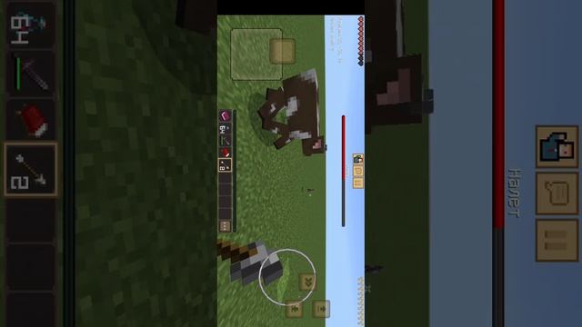 Победа рейда