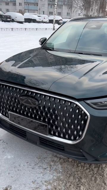 Закидало под капот ?- Chery tiggo 9.