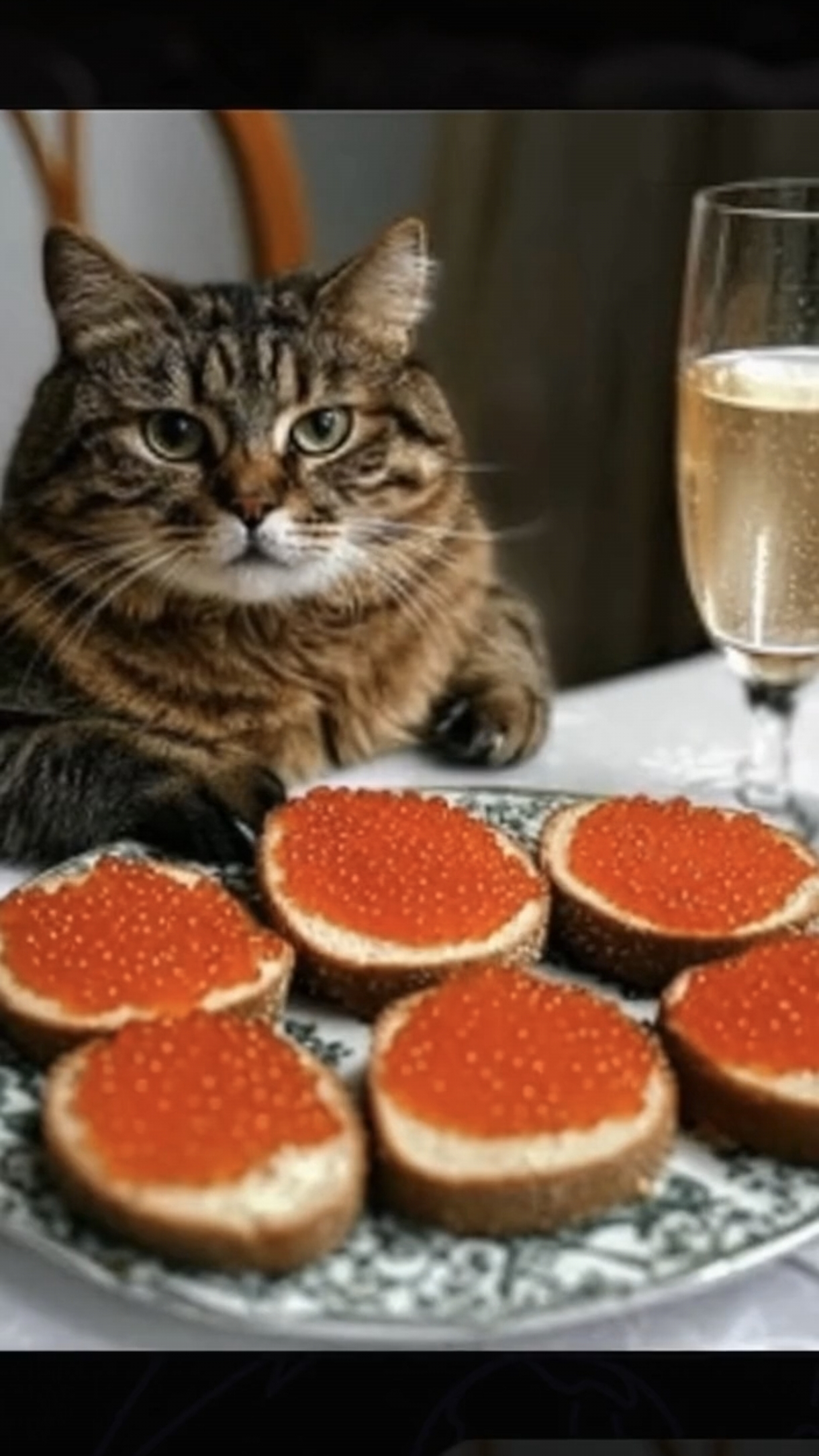 С Новым Годом! 🎄