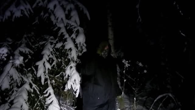 С Новым 2026 Годом! Не пугайтесь - всё будет хорошо! Прорвёмся!