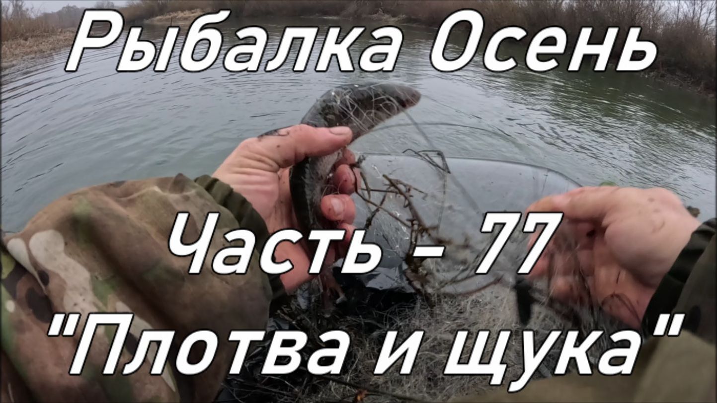 Рыбалка Осень. Часть - 77. "Плотва и щука".