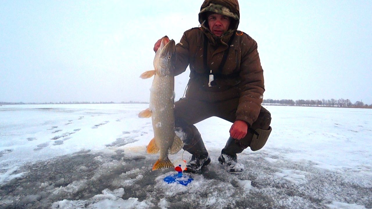 ЛЕСКА 0.5 ТРЕЩИТ!! КРУПНАЯ ЩУКА НА ЖЕРЛИЦЫ - ЗИМНЯЯ РЫБАЛКА ПОД НОВЫЙ ГОД