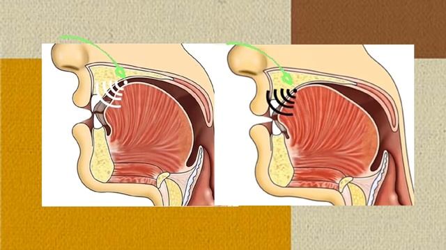 Ихфа ن (нун) с ج (джим) и ش (шин)