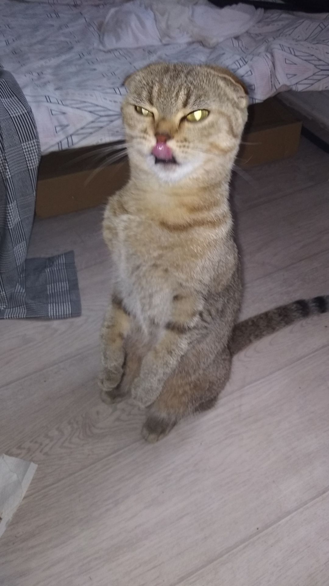 и на стол поставить не стыдно, и сожрут - не жалко!! 😁😂