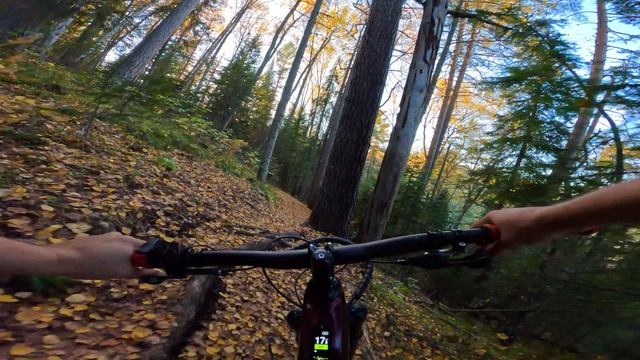 Осенний ASMR, трейл Майский жук