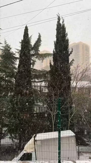 С Наступающим Новым 2026 годом!!!