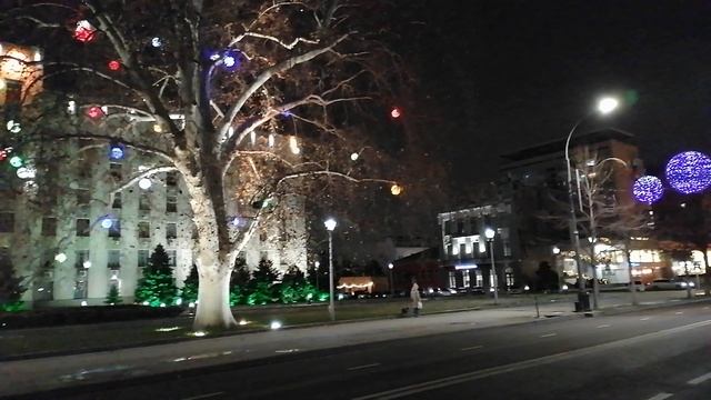 Краснодар. Главная елка у администрации