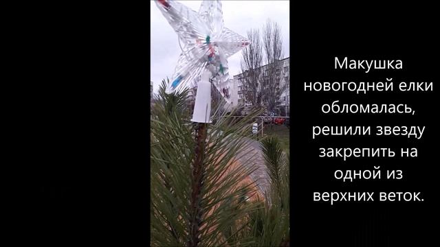 Новости от новогодней Ёлочки 30.12.2025г.