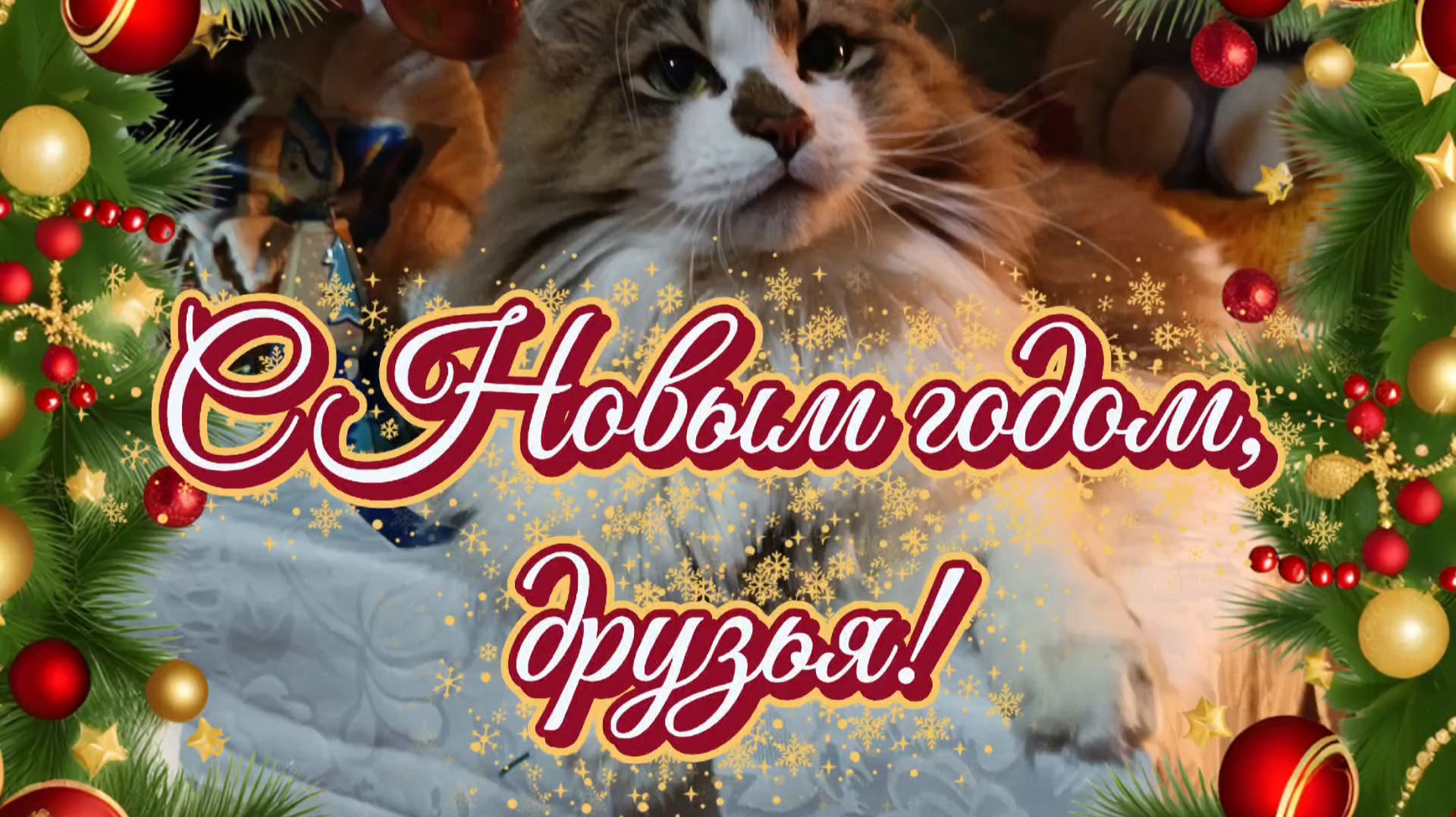 С Новым годом друзья!