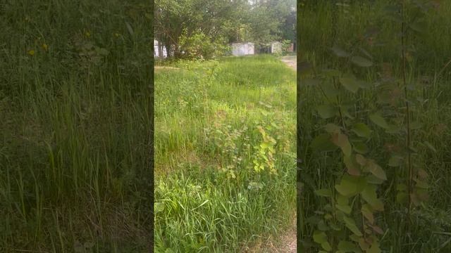 Просто видео