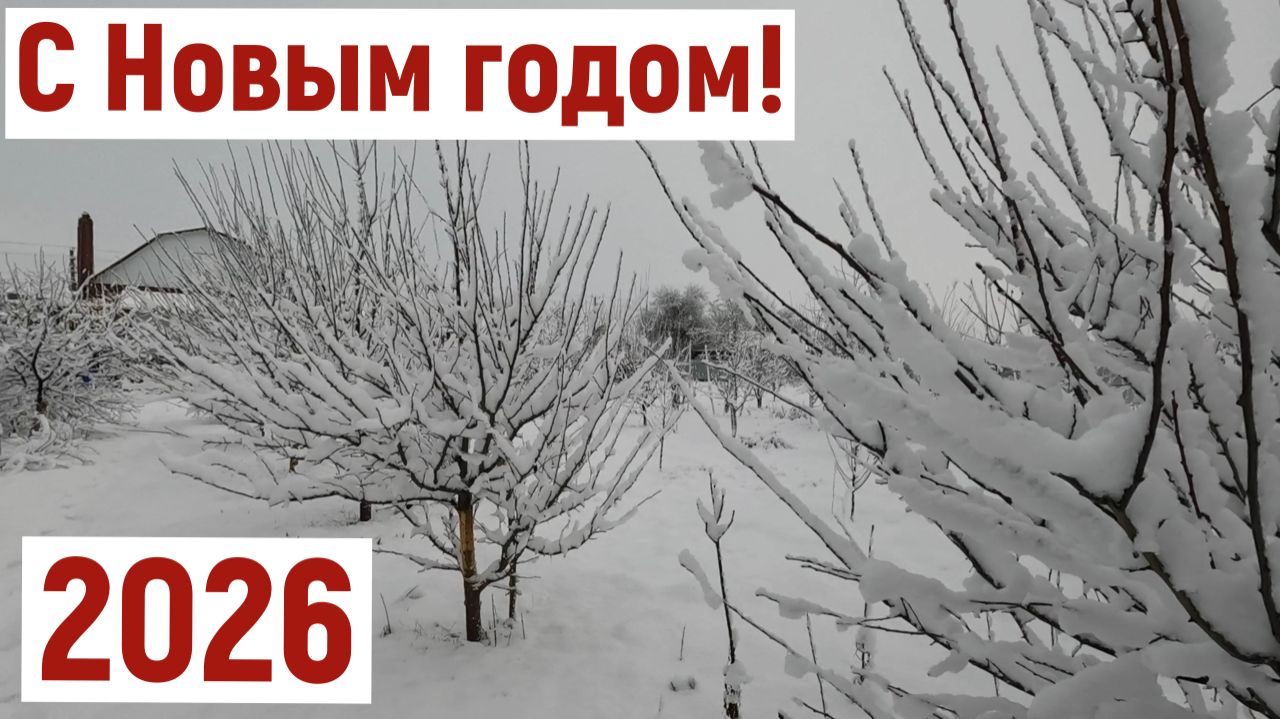 С Новым, 2026 годом!