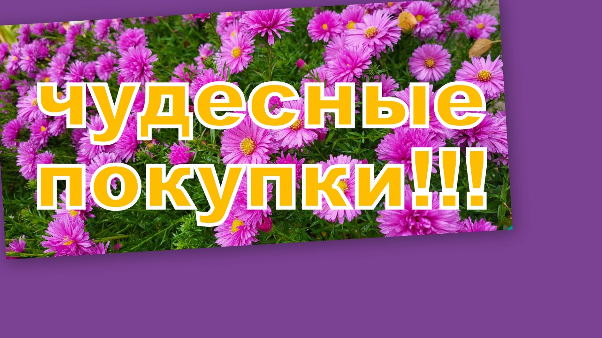 СУПЕР НОВИНКИ С ВАЙЛДБЕРРИЗ!!! ШИКАРНЫЕ ПОКУПКИ!!!! И ПОДАРОЧКИ!!!