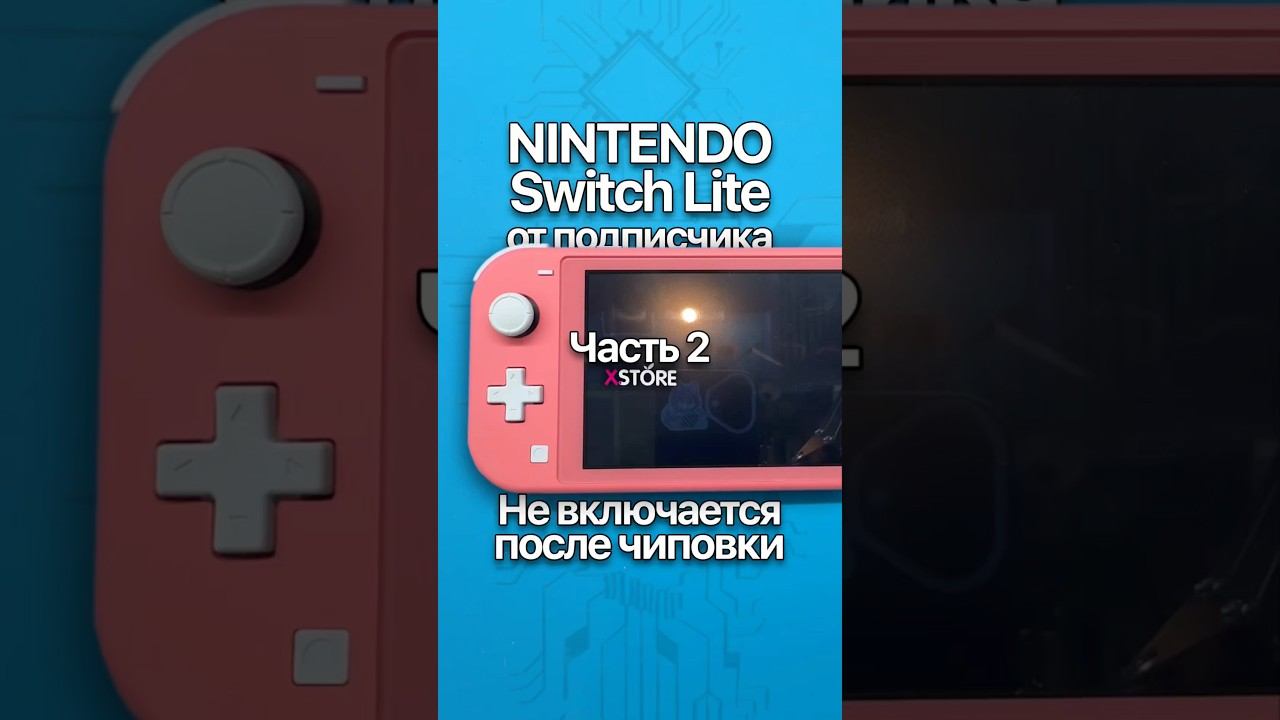 Nintendo Switch Lite перестал включаться после прошивки (ч.2)
