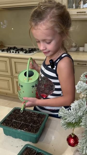 Пора посеять землянику на снег