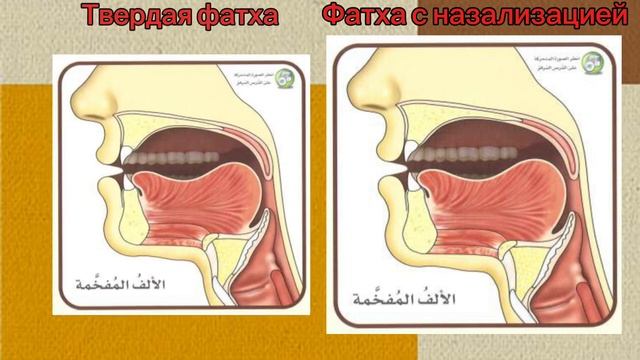 Ихфа (сокрытие) نْ (нун) со звуками ص (сад), ض (дад), ط (та), ظ (за).