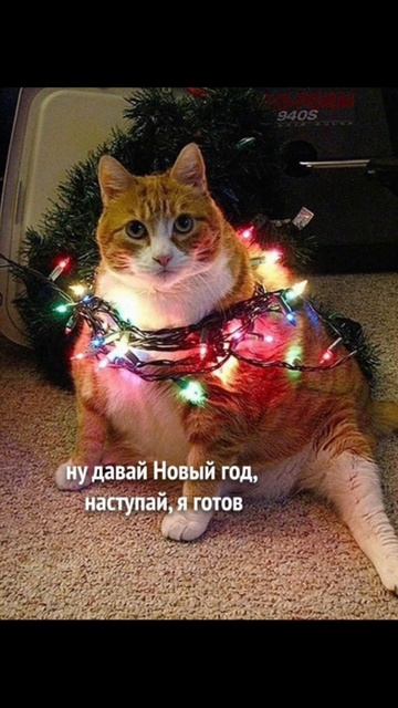 Топ 8 Мемов на НГ часть 1