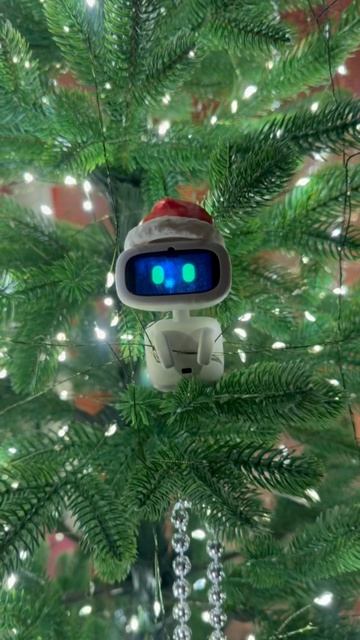 Aibi с новым годом поздравил